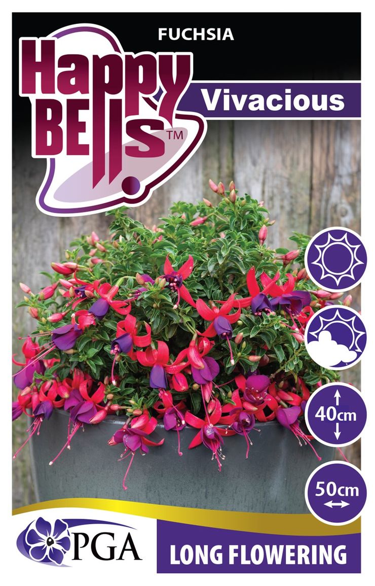 Fuchsia ‘HAPPY BELLS™ Vivacious' – The Plant Broker