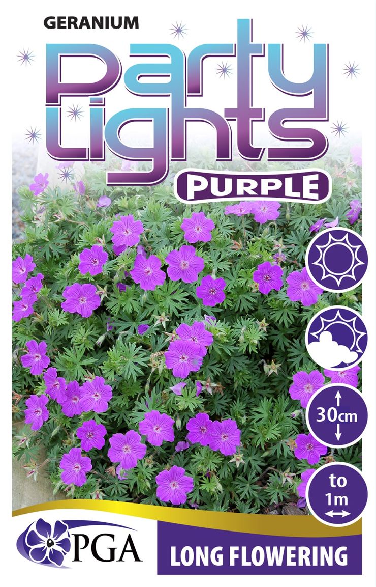 Geranium PARTY LIGHTS™ ‘Purple’ – The Plant Broker