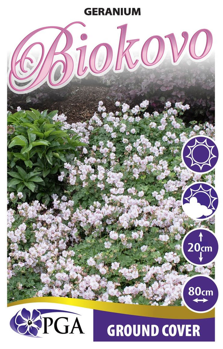 Geranium ‘Biokovo’ – The Plant Broker