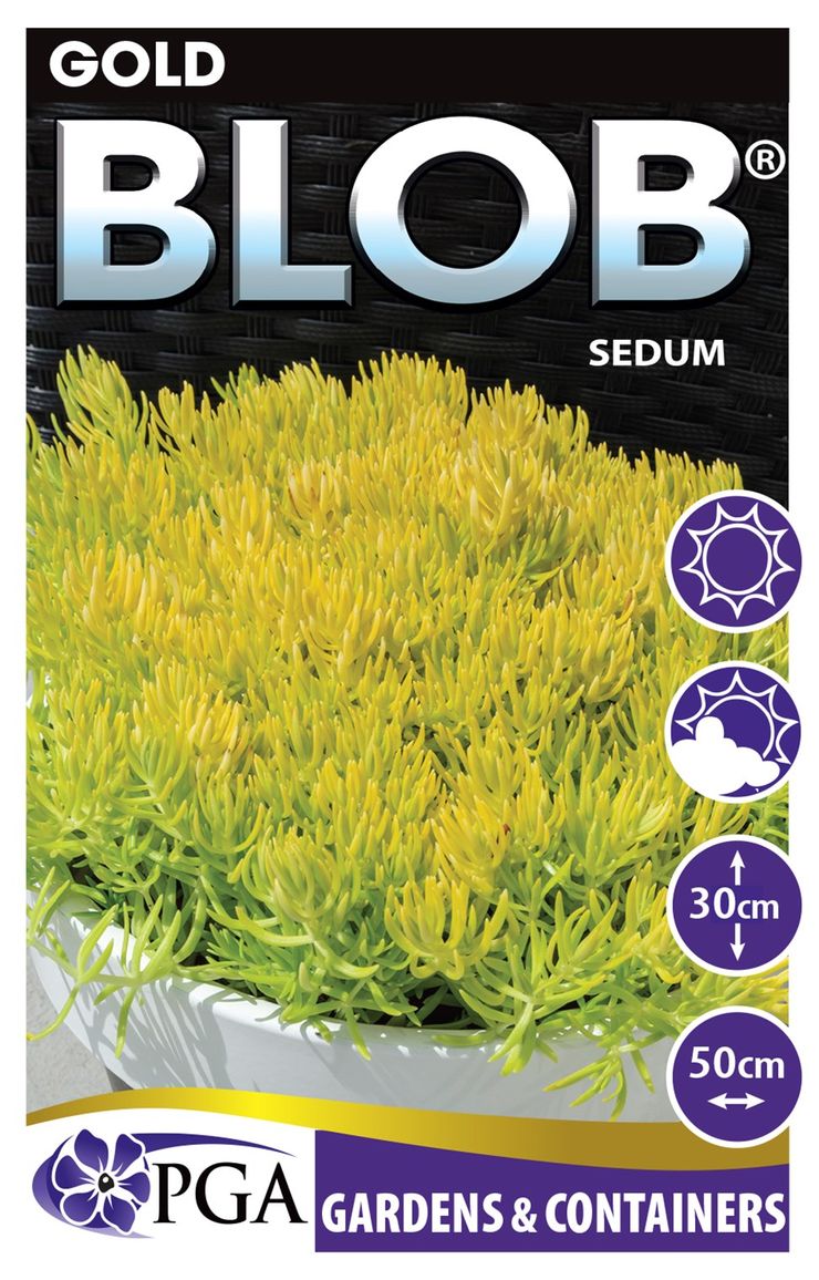 Sedum ‘Gold BLOB®’ – The Plant Broker