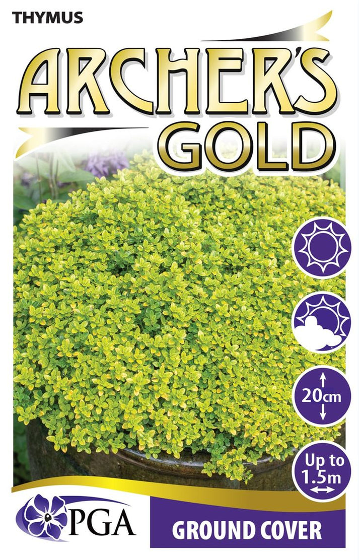 Thymus ‘Archer's Gold’ – The Plant Broker
