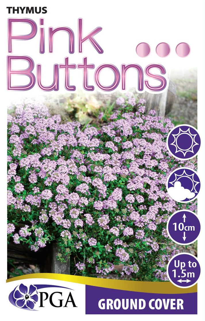 Thymus ‘Pink Buttons’ – The Plant Broker