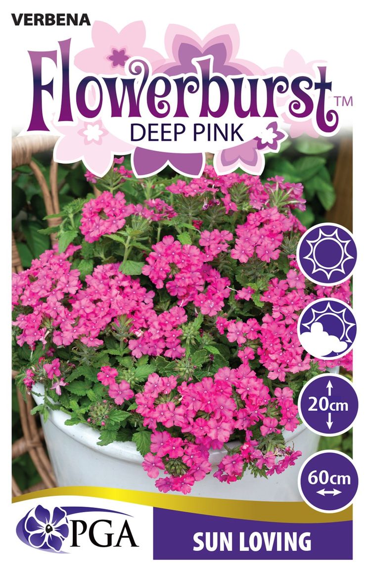 Verbena ‘Deep Pink FLOWERBURST®’ – The Plant Broker